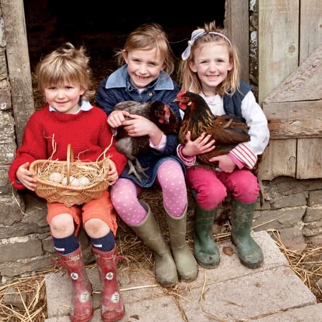 Working farm holidays for children | 101 Family Holidays