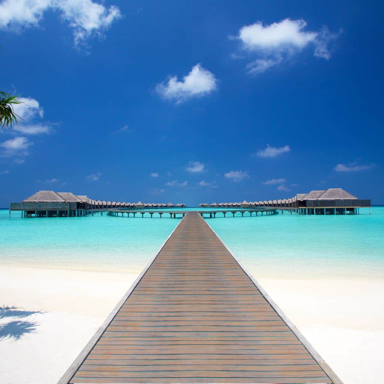 Maldives For Kids 101 Family Holidays maldives-for-kids-101-family-holidays