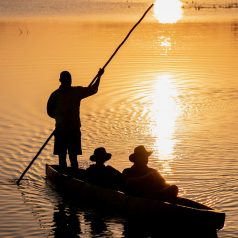 Botswana safari | 101 Holidays